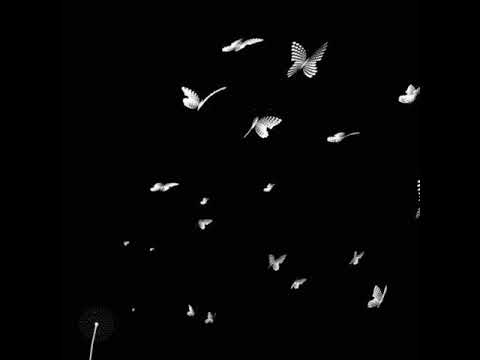 🇹🇲 Azat Donmezow - Ayralyk slowed reverb [TM]