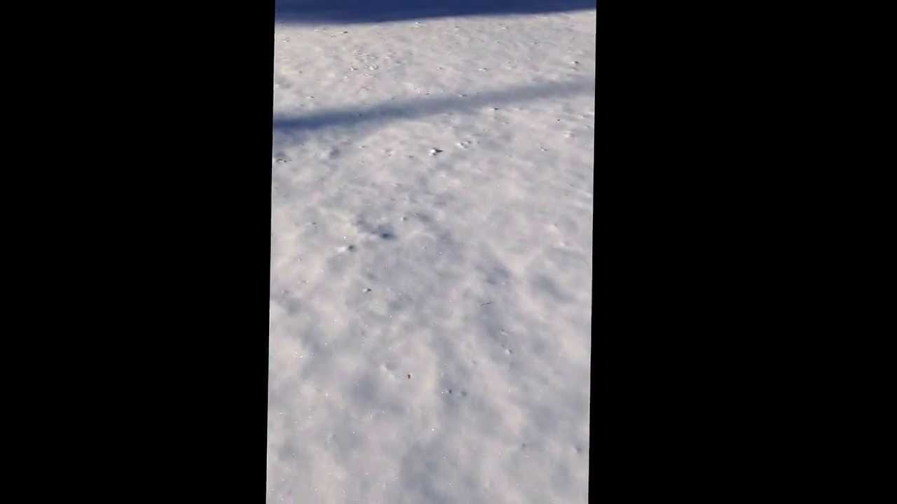 Strange footprints found in our backyard! - YouTube