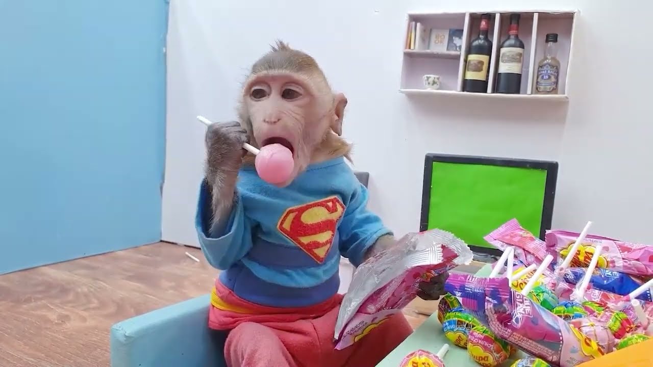 Mono BuBu Hace Gelatina De Arcoíris Deliciosa y Nada En La Piscina Con ...