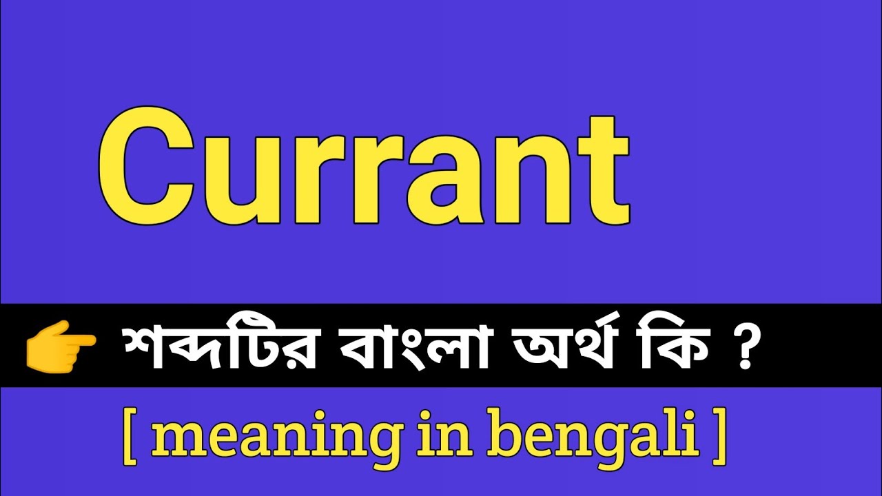 Currant Meaning In Bengali Currant Bengali currant-meaning-in-bengali-currant-bengali