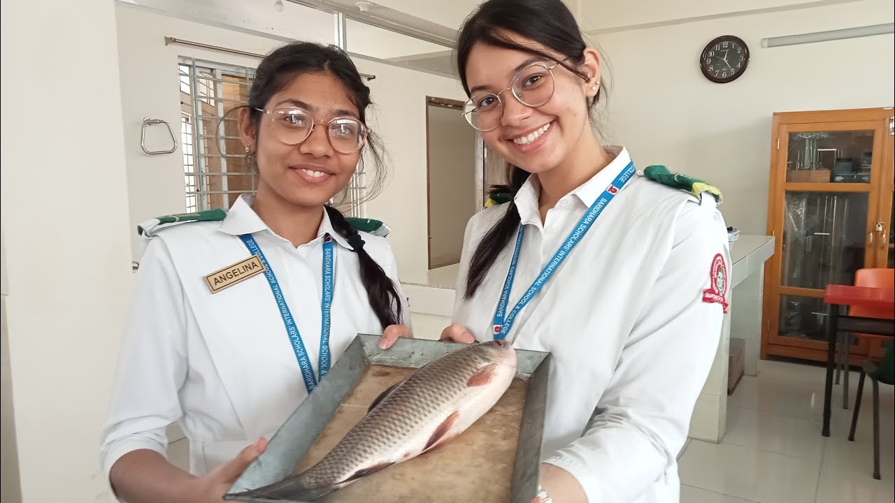 Rui fish practical / Dissection of Rui fish/HSC Biology 2nd Paper/Labeo ...