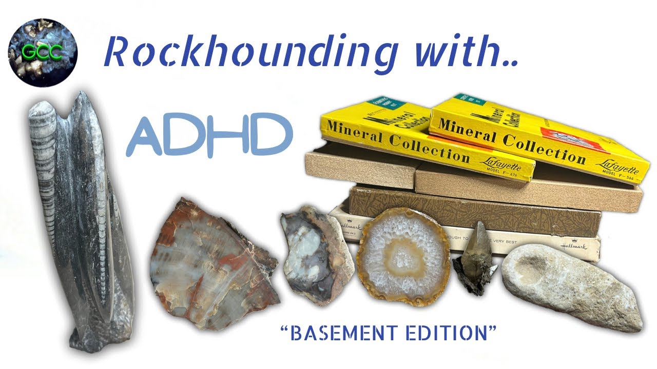 Rockhounding with ADHD | Basement Edition! | Finding rocks I “lost” 3 ...