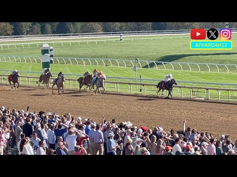 Rising Sprinter Emerges As a Star in America's Oldest Stakes Race ...