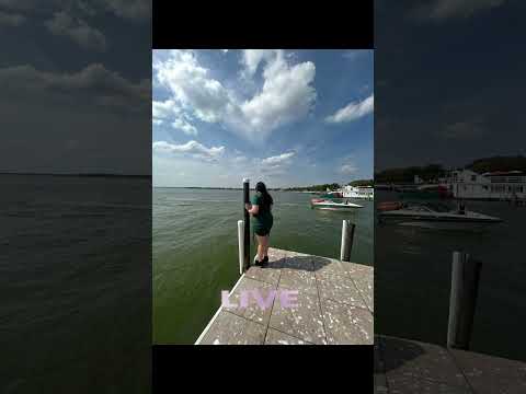 Pyper Satern - Left With No Regrets (Official Lyric Video) 