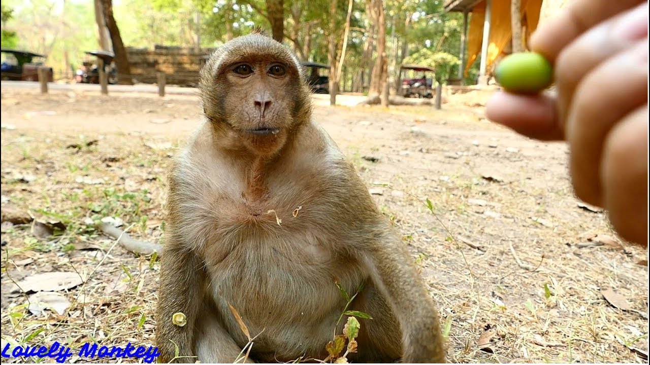 Morning Sweet Pea ! Don't Worry About ME All Fan! Sweet Pea Much Better ...