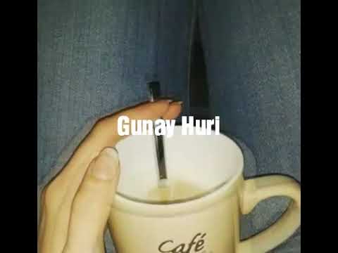 Seir Gunay Huri