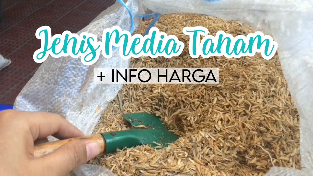 Jenis-Jenis Media Tanam untuk Tanaman Hias dan Haganya - YouTube