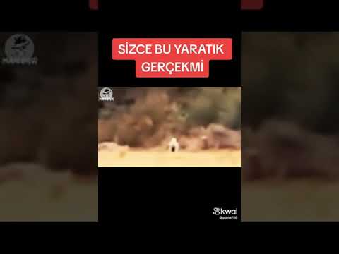 BU GERÇEK Mİ?