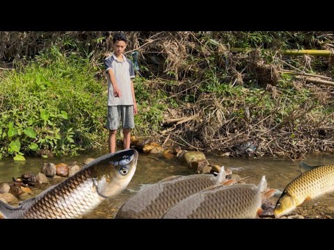 simple fish trap making technique using stone and plastic pipe - YouTube