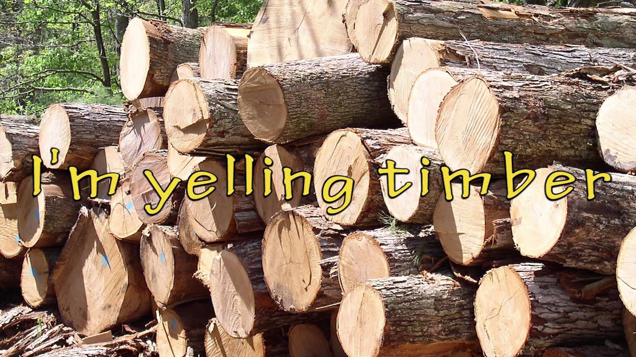 Pitbull - Timber ft. Ke$ha (Lyrics Video) - YouTube