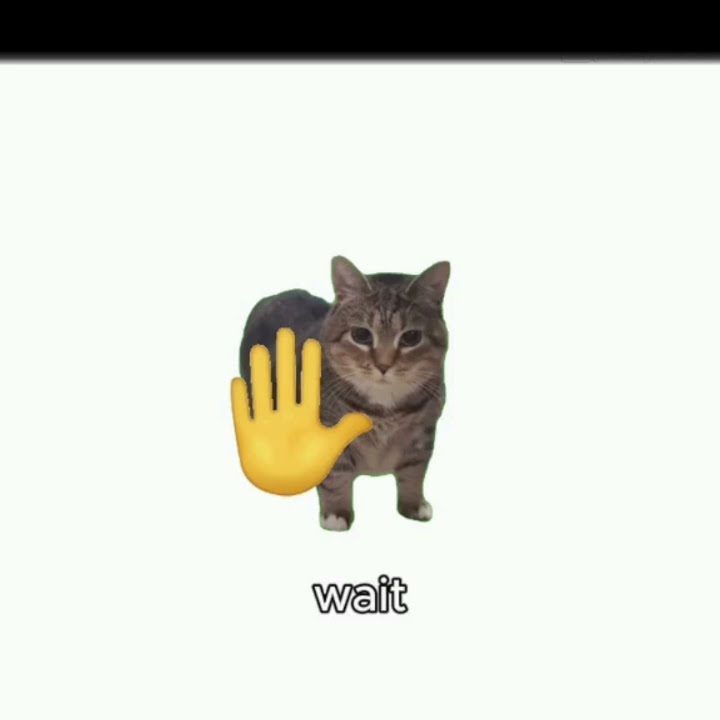 wait uiuiuiui wait uiuiuiui aaaaaaaaaaaaaah - YouTube