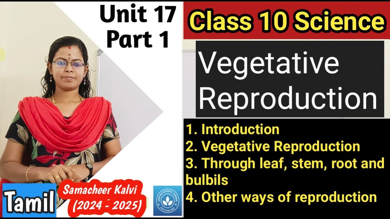 Intro, Vegetative Reproduction| Class 10 Science Unit 17 Reproduction ...