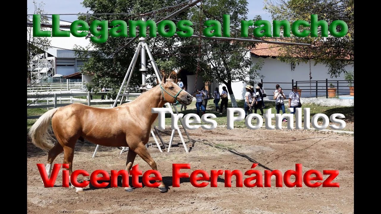Visitamos el rancho 3 Potrillos de Vicente Fernández - YouTube