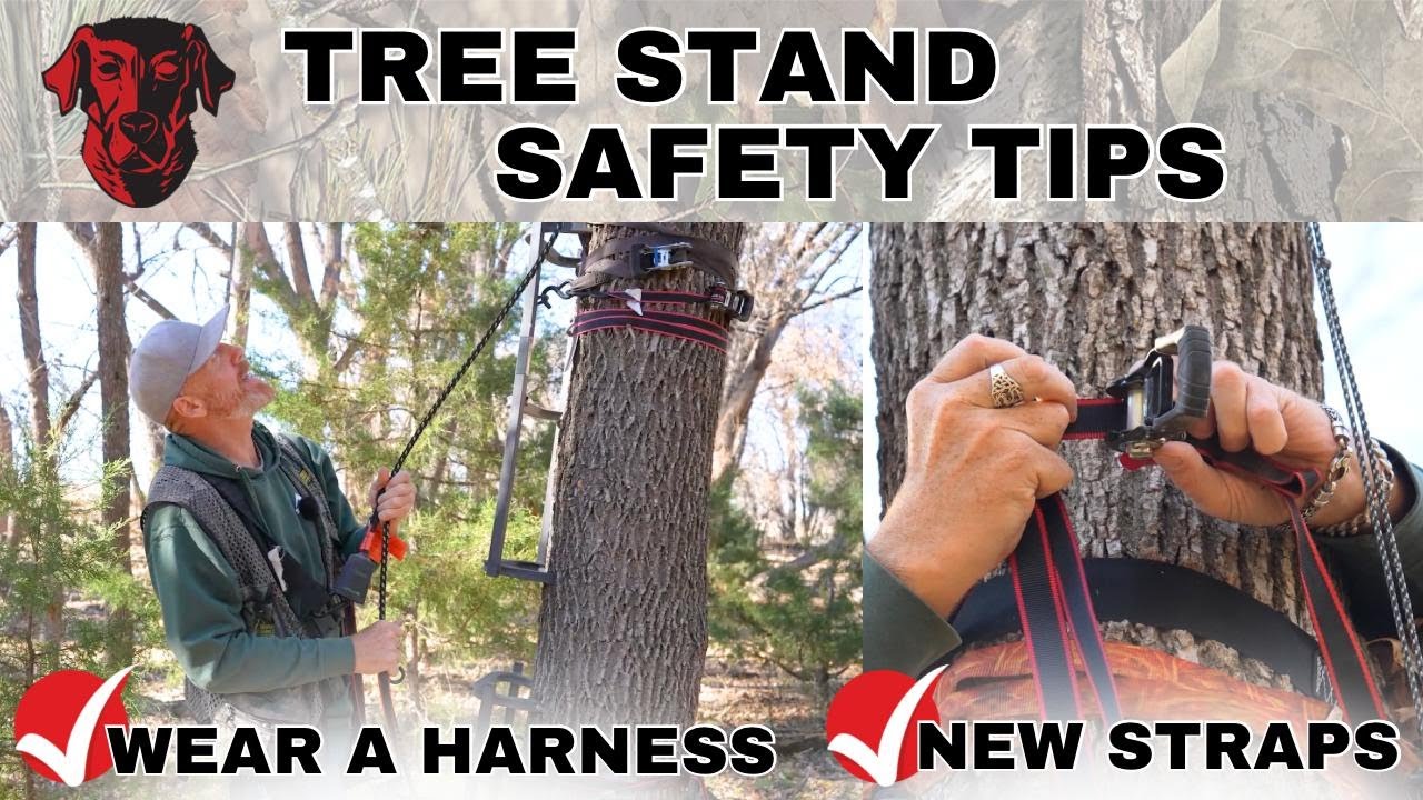 Tree Stand Safety Demo - tips to stay safe while hunting from a tree ...