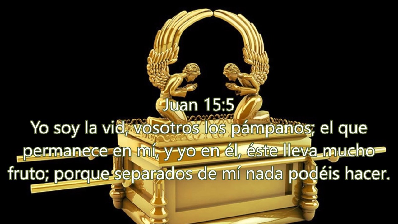 Día 7–El Arca La Vara de Aarón. Héctor Sarmiento - YouTube