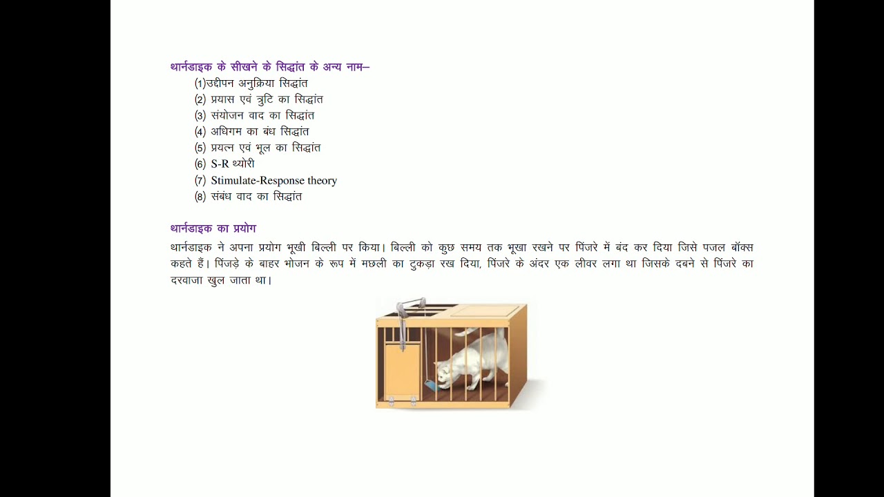 Thorndike S-R Theory : General Psychology in Hindi - YouTube