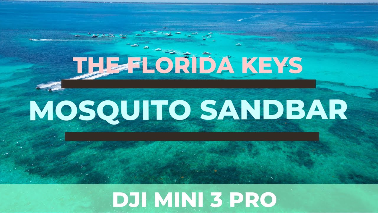 🏝 Exploring Mosquito Sandbar Key Largo: A Day of Adventure, Relaxation ...