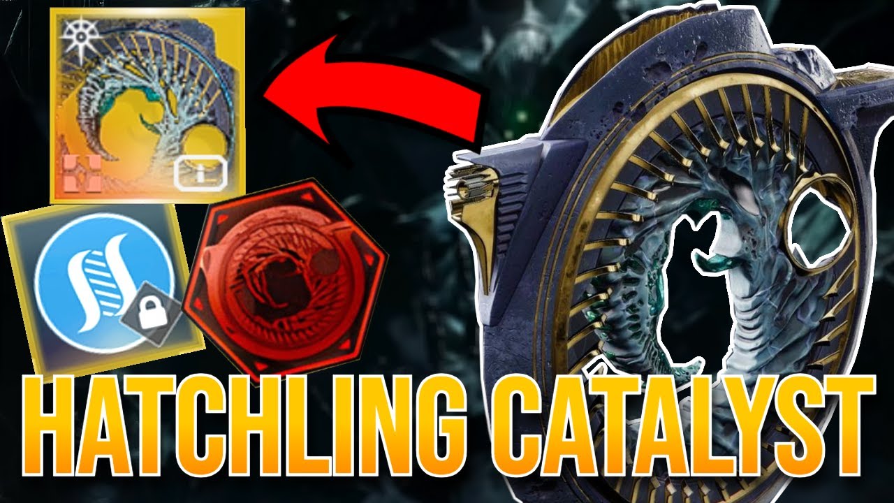 How To Get Hatchling Catalyst For Barrow Dyad | Destiny 2 - YouTube
