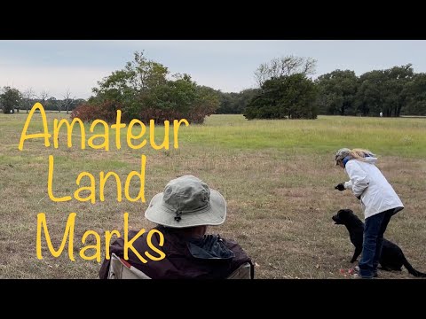 Retriever Field Trial - Amateur 1st Series (Winning Dog) - YouTube