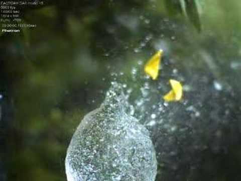 High Speed Camera of Balloon Full Of Water Popped 6000FPS - YouTube
