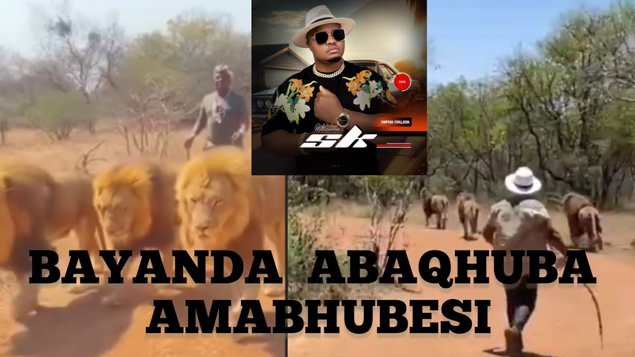 Ayanda Ama Video abantu abaqhuba amabhubesi njengo Mthandeni SK. - YouTube