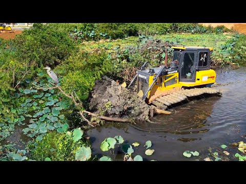 Wow! Skilled SHANTUI Bulldozer Operator Clearing Forest & Filling a Pond with Heavy Dump Trucks