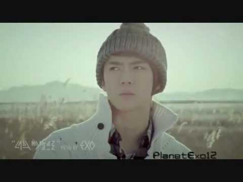 It's So Beautiful.. [Luhan,Sehun,D.O,Suho]