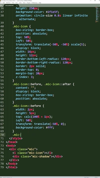 Voice Display Create Using Html Css Voice Button Voice Display