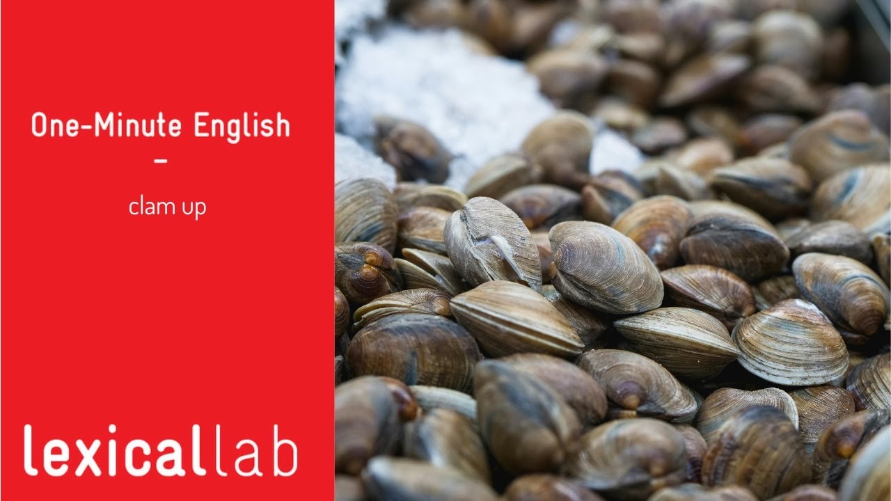 ONE MINUTE ENGLISH: clam up LEARN WITH LEXICAL LAB - YouTube