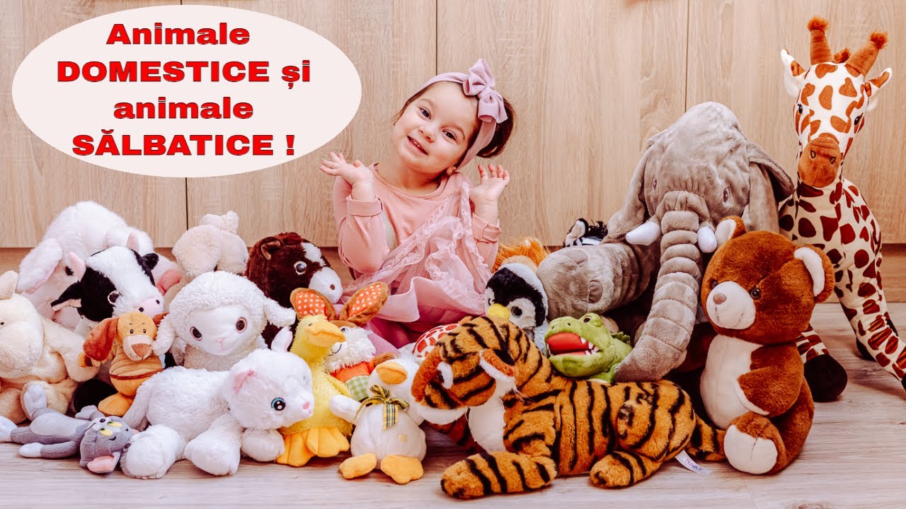 Animale DOMESTICE si Animale SALBATICE Ce animal sunt eu? Joc EDUCATIV ...