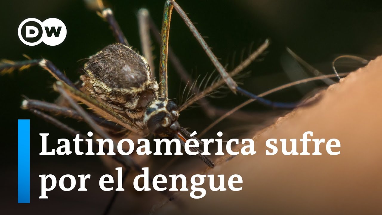 El Dengue La Nueva Epidemia En Latinoamérica Youtube