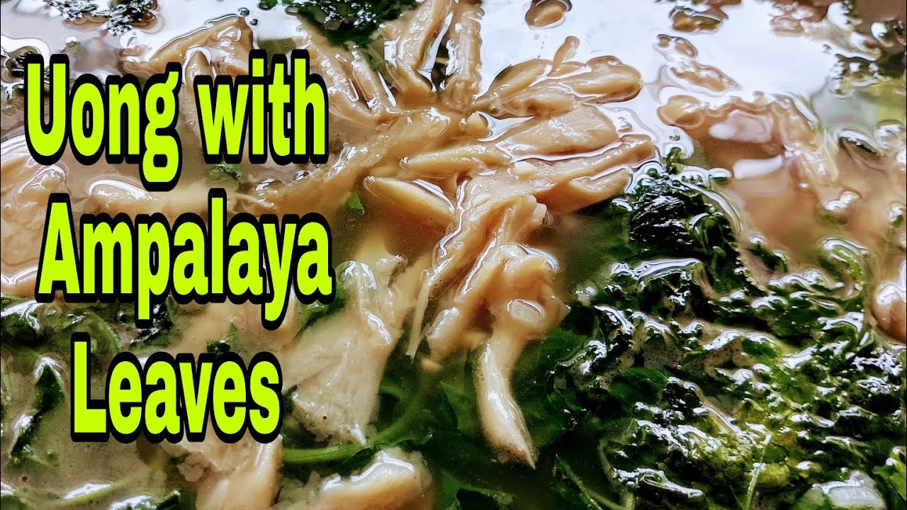 Uong na may dahon ng ampalaya | Mushroom with bitter gourd leaves ...