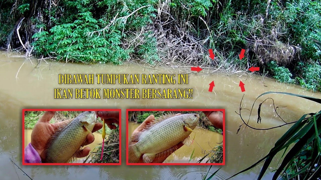 SPOT MANCING YANG JARANG DI JAMAH PEMANCING LIAR INI TERNYATA BANYAK ...