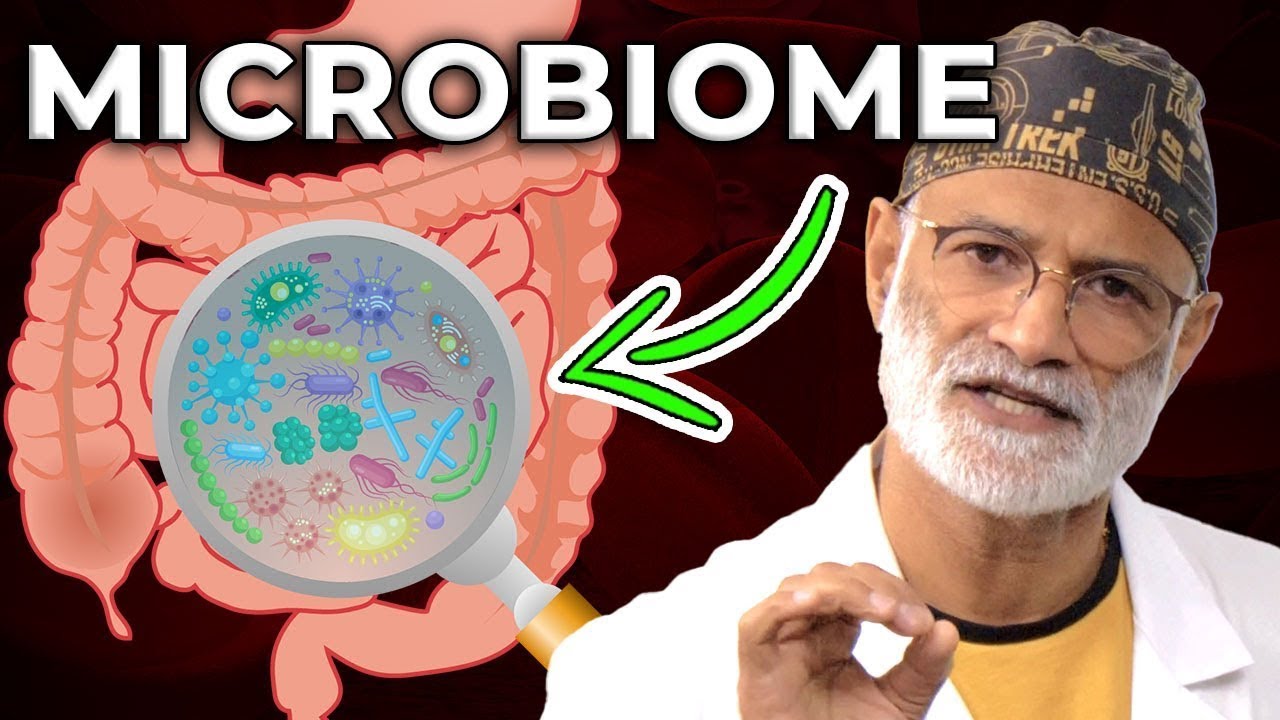 Where Did Our Gut Bacteria Come From? - Revealing the Origins of Our ...