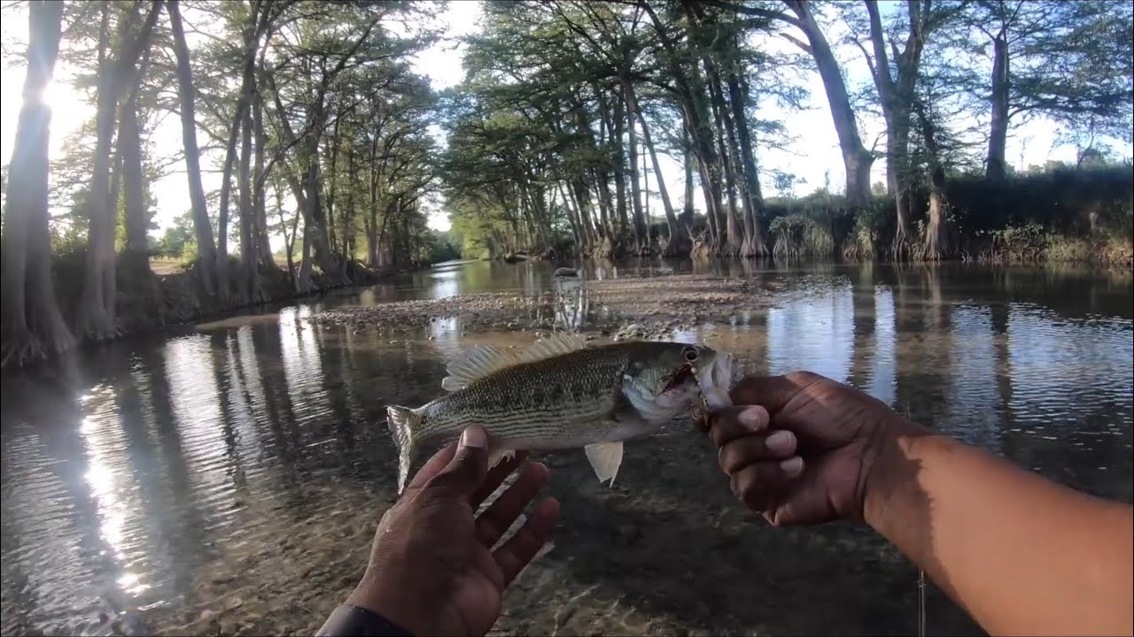 Crystal Clear River! Wade Fishing the Medina River! - YouTube