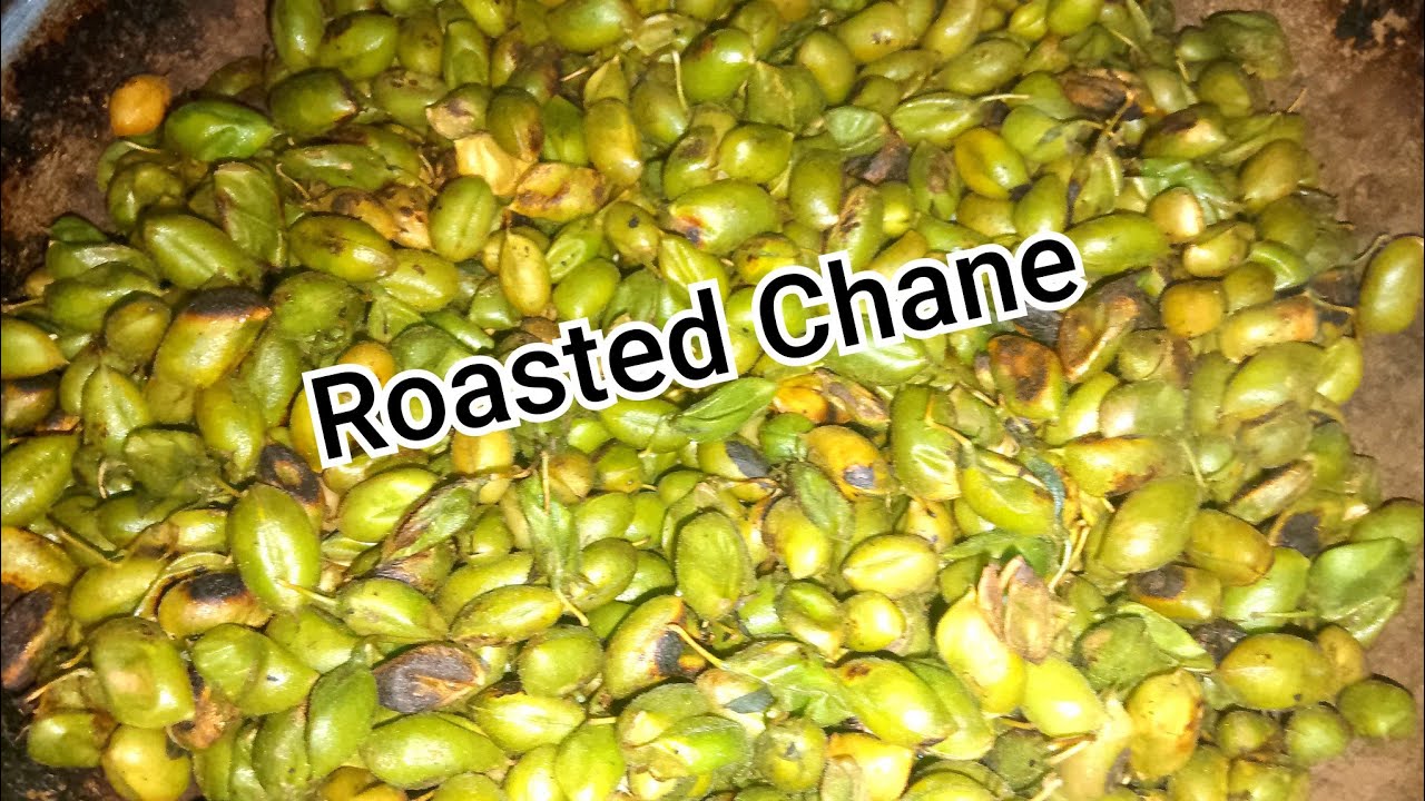 How to Roast Change /Raw Chickpeas/ Green Chana / Bhuna Cholia Recipe ...