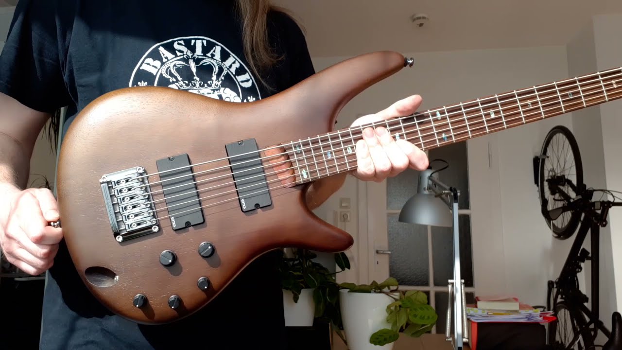 IBANEZ SRC6 WNF 30" baritone guitar / short scale bass 6-string IV ...