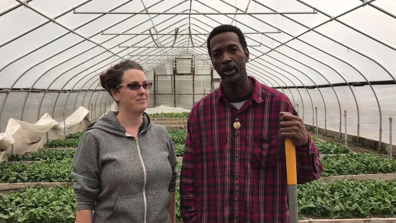 Farm Tips with Bee & Melvin - YouTube