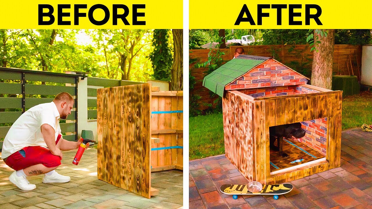 DIY Dream Home for Dogs: How to Spoil Your Pups - YouTube