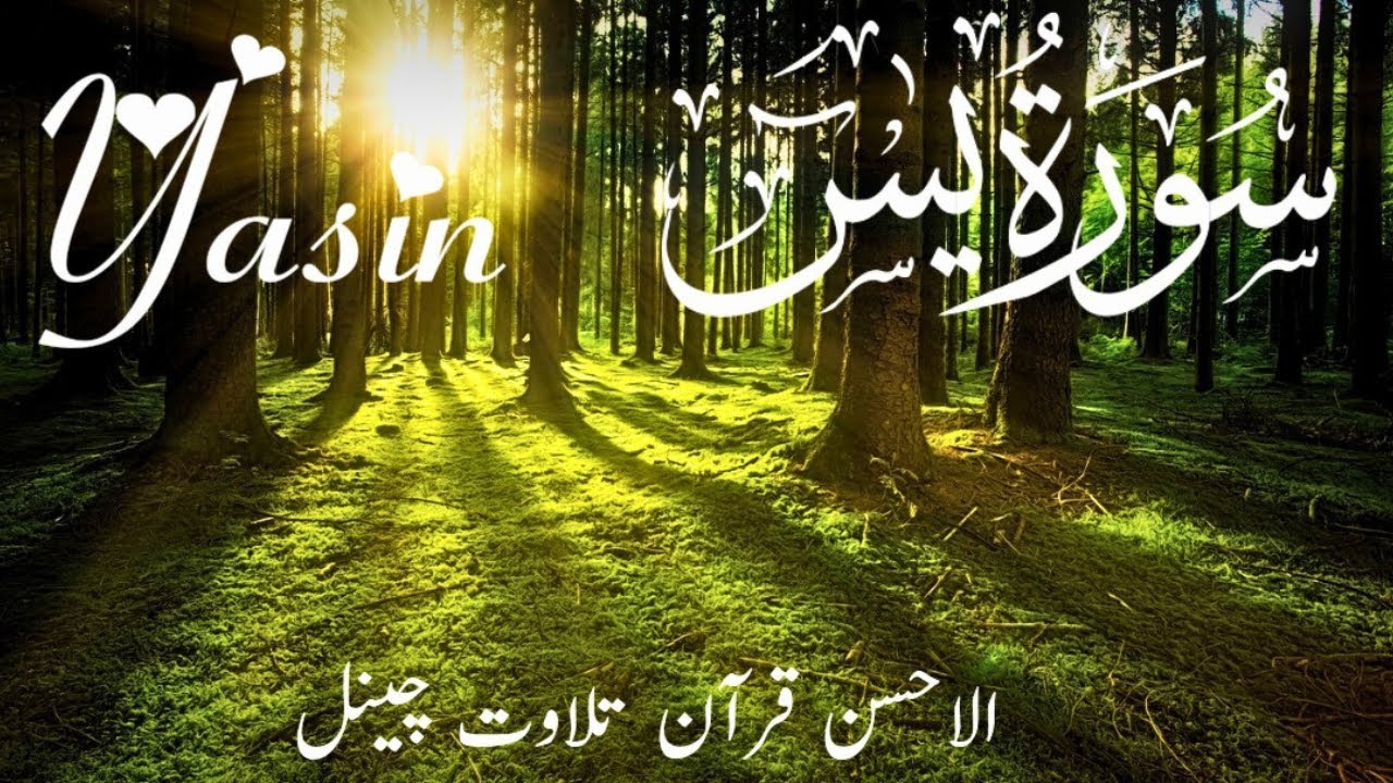 Surah Yasin(Yaseen)Full |Beautiful Recitation of Surah Yasin|سورة يس ...
