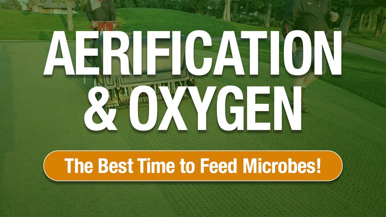 2 Minute Turf Talk Aerification and Oxygen - YouTube