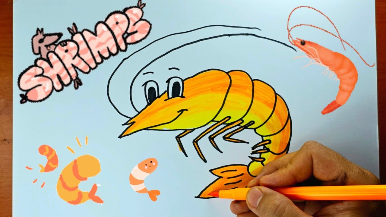 How to draw a prawn - Prawn drawing easy - YouTube