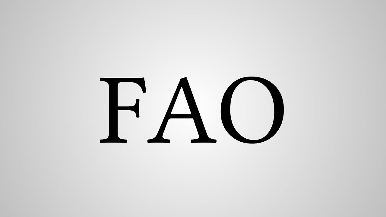What Does "FAO" Stand For? - YouTube