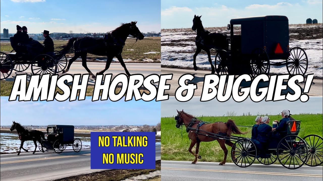 🐴Amish Buggy’s Passing By | Horse Hooves & Wagon Wheels ASMR ...