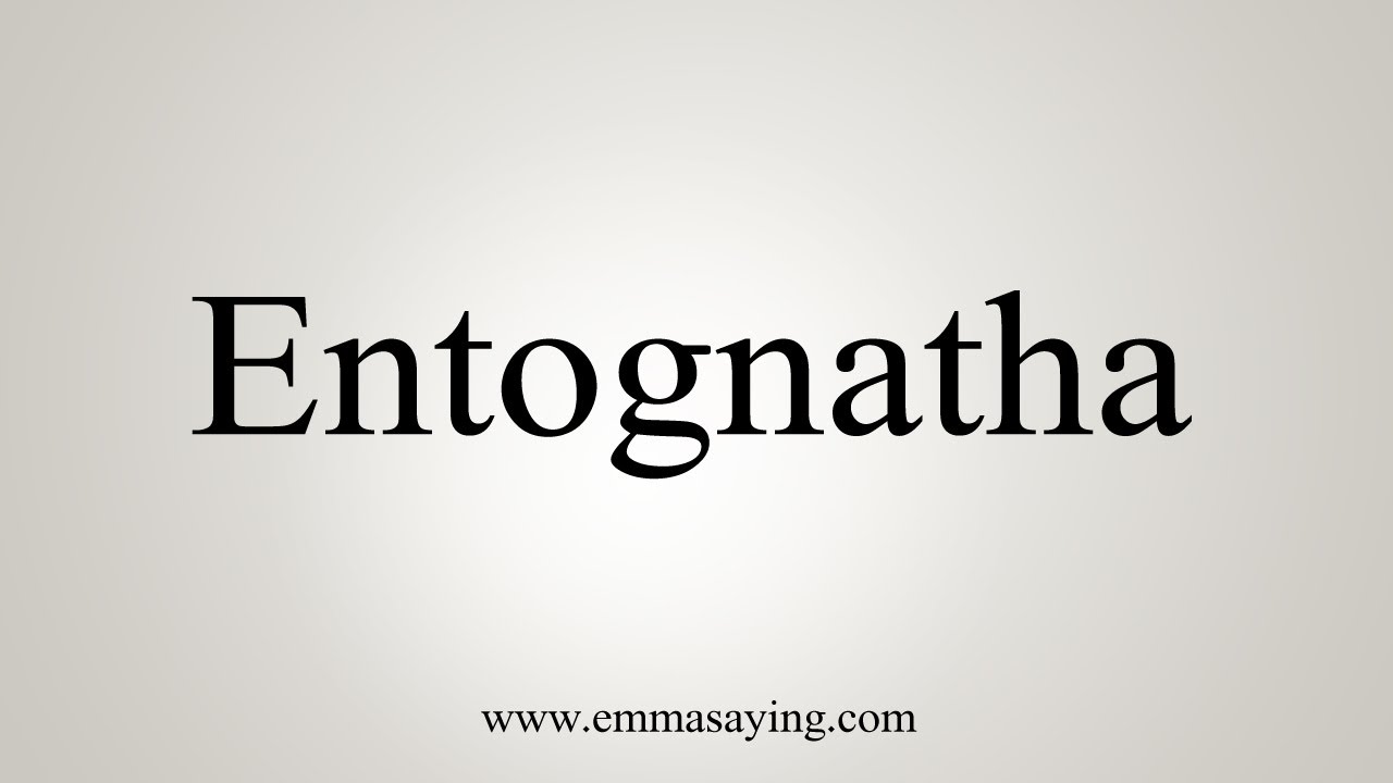 How To Say Entognatha - YouTube