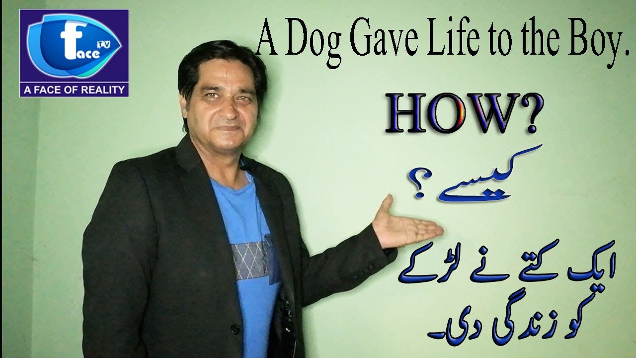 A Dog Gave Life to a Boy, How? Raz -e- Hayat. Ep: 9. By Syed Zaphar ...