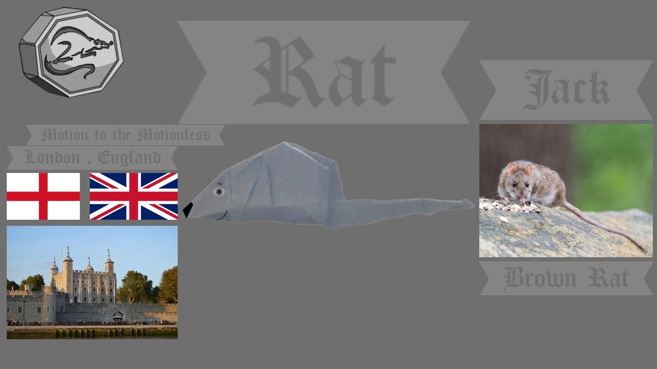 Rat Talisman 🐀 - YouTube