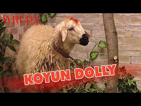 Burhan Altıntop ve Koyun Dolly - Avrupa Yakası