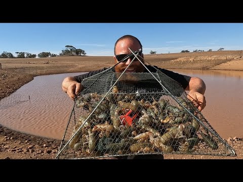 Monster YABBIE Catch N Cook - YouTube