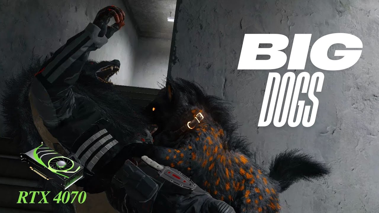 BO6 Warzone - Big Dogs (P.C) - YouTube
